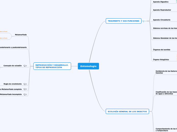 Entomología - Mind Map